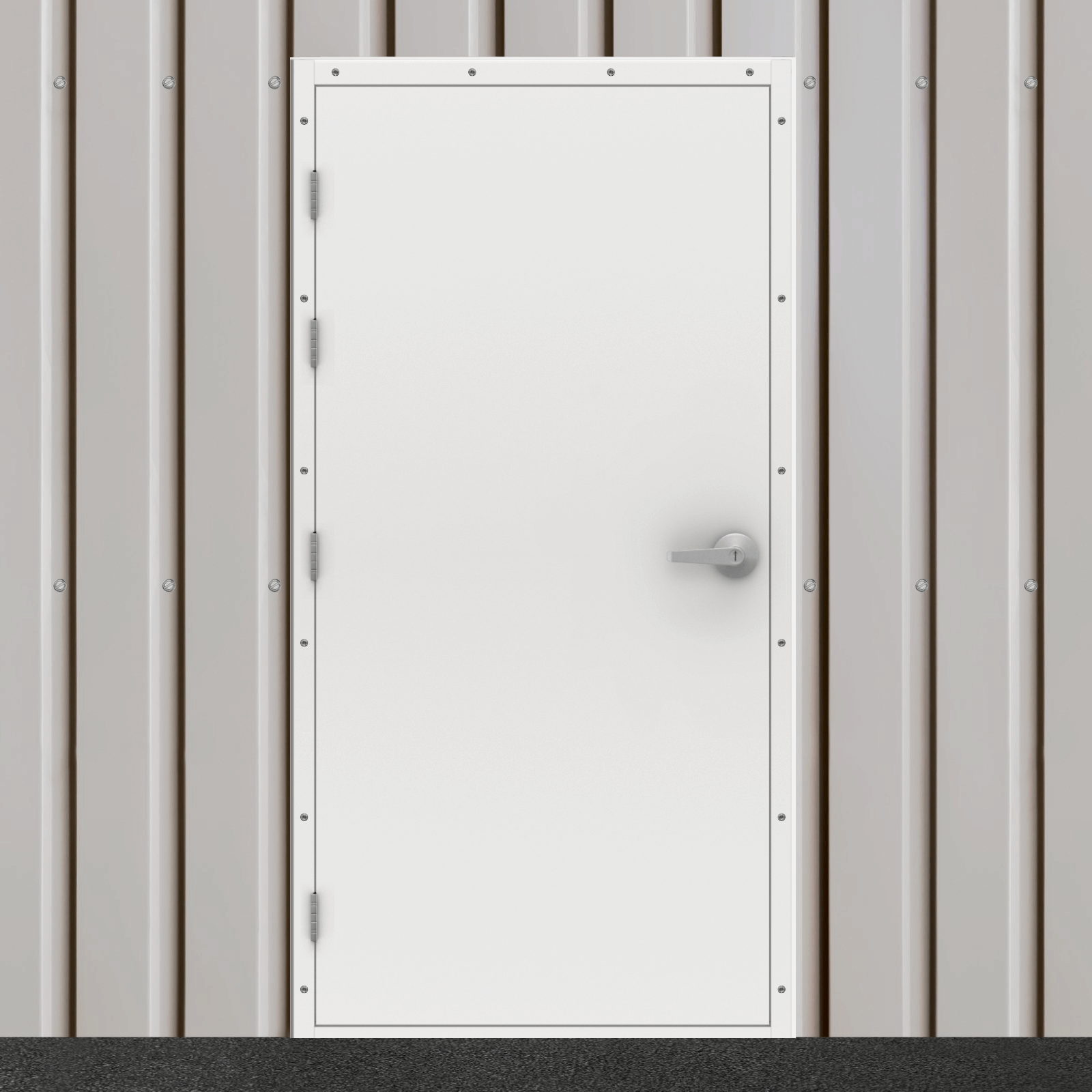 Steel Shed Door - Personal Access Doors - Latham's