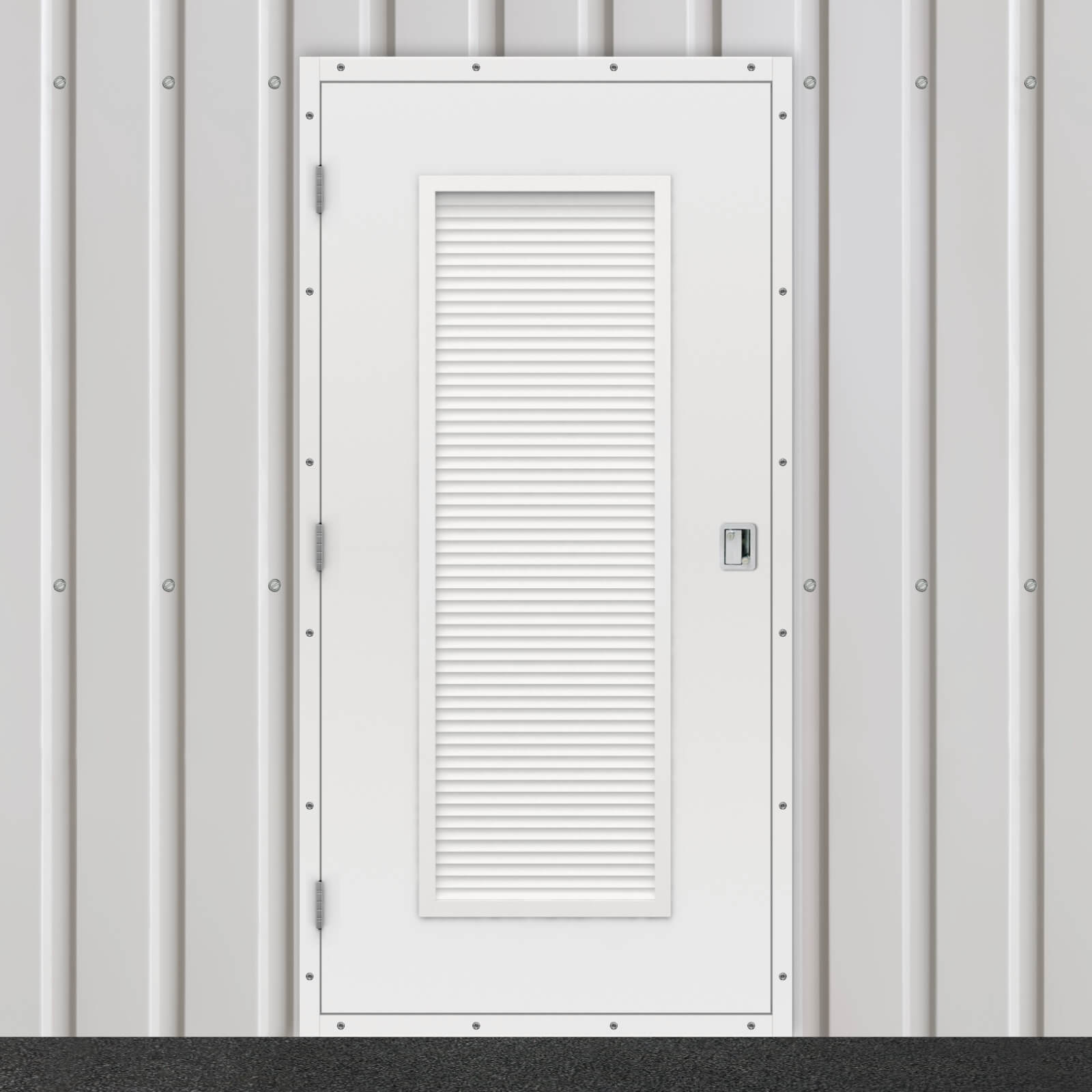 Steel Shed Door - Personal Access Doors - Latham's