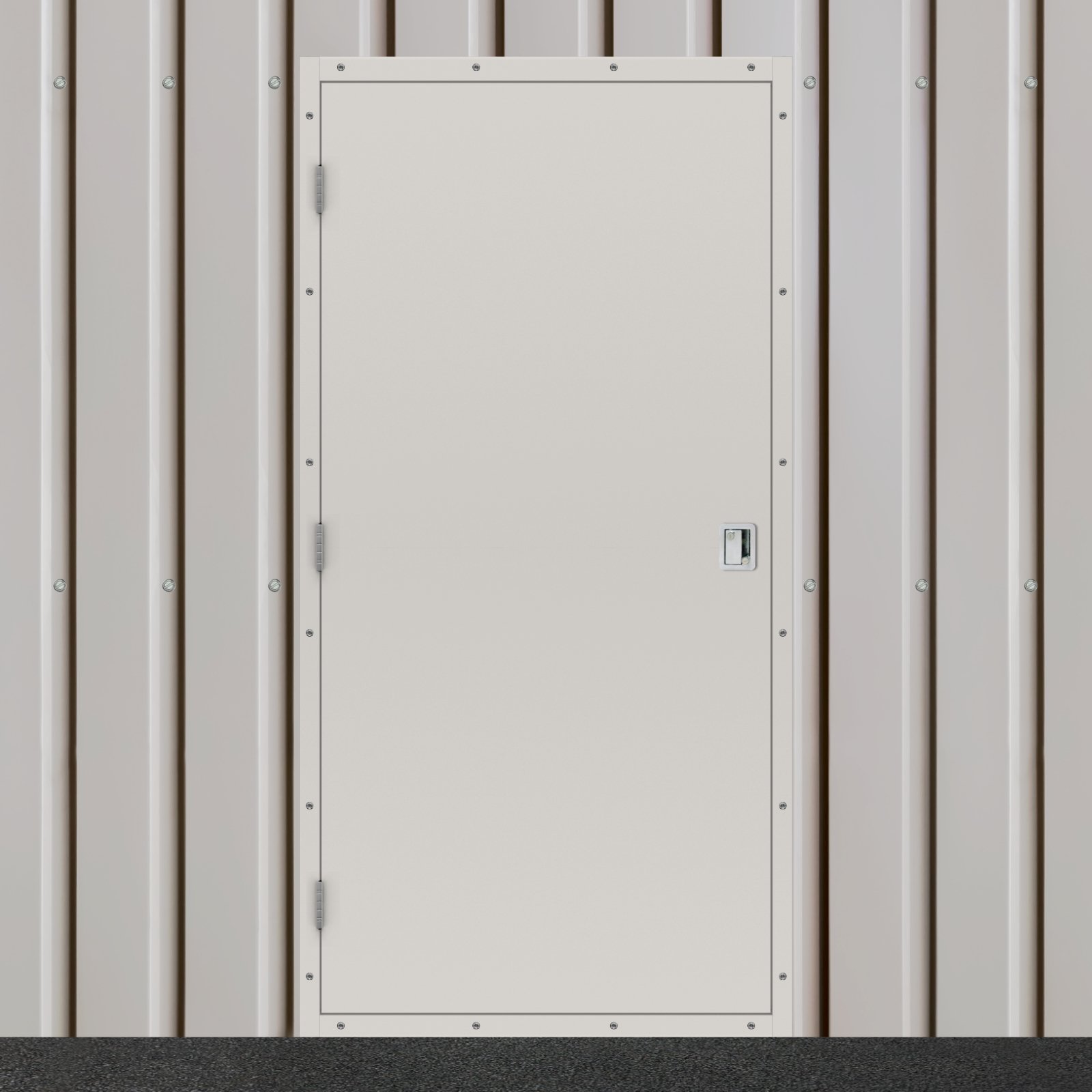 Steel Shed Door - Personal Access Doors - Latham's