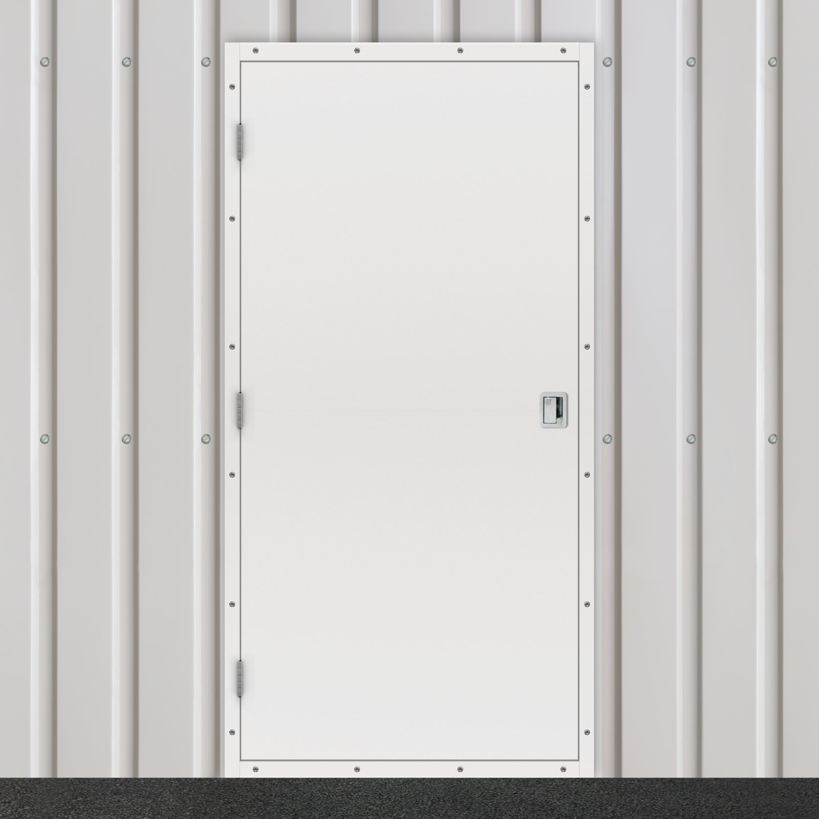Steel Shed Door - Personal Access Doors - Latham's