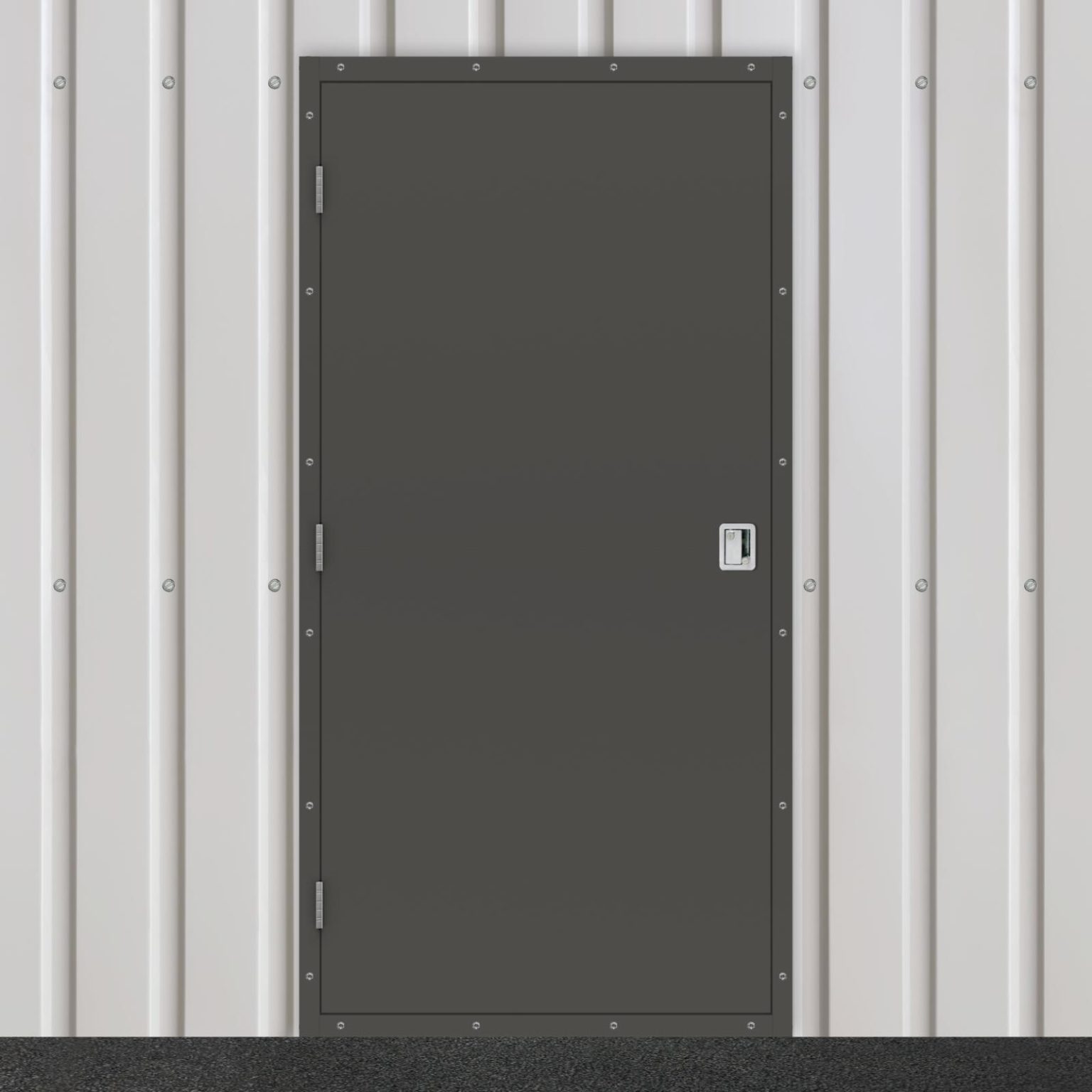 Steel Shed Door - Personal Access Doors - Latham's